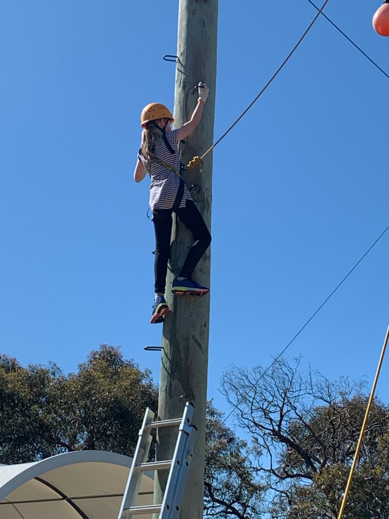 Grade 56 Camp Wilkin Anglesea