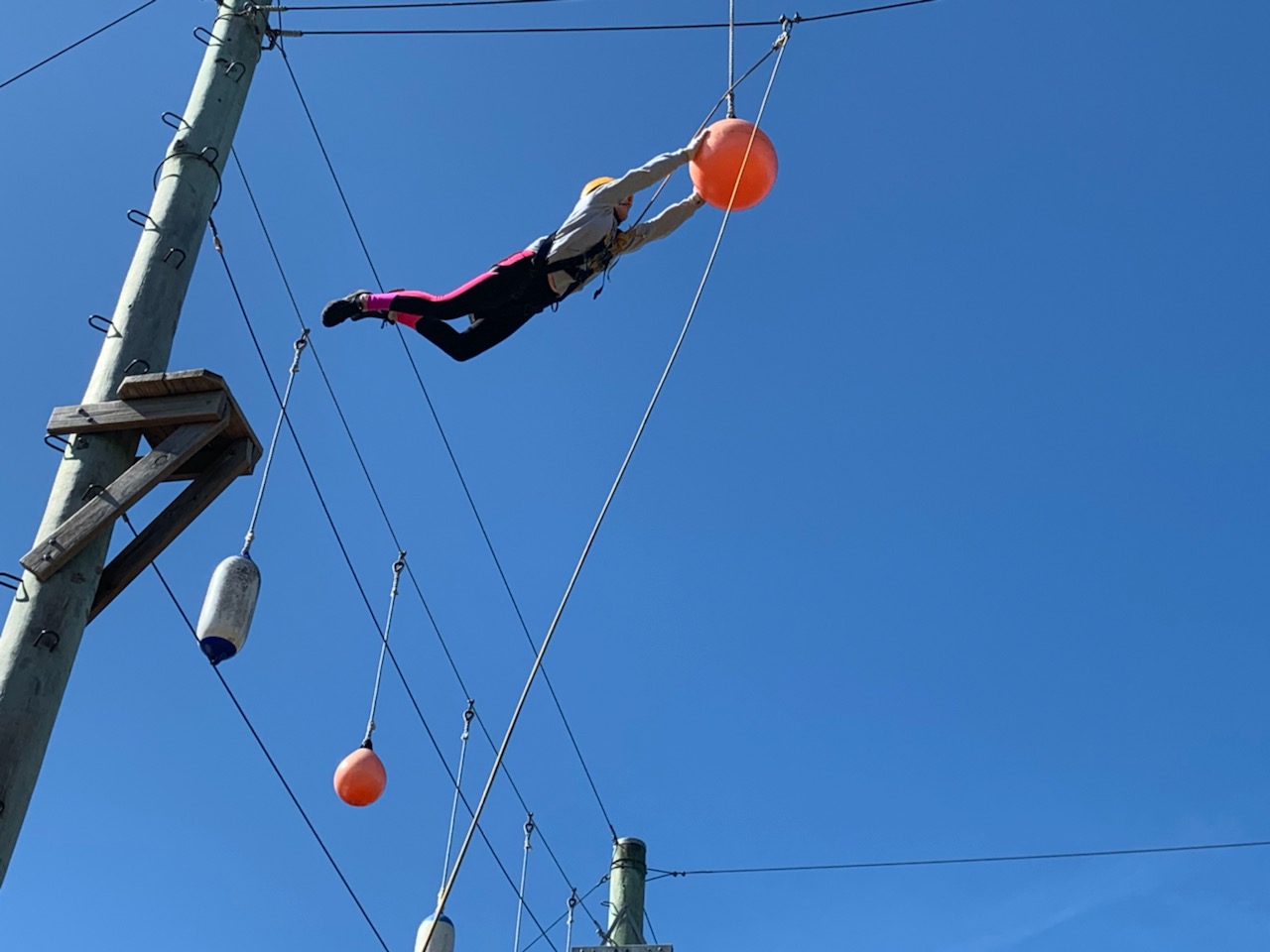 Grade 56 Camp Wilkin Anglesea